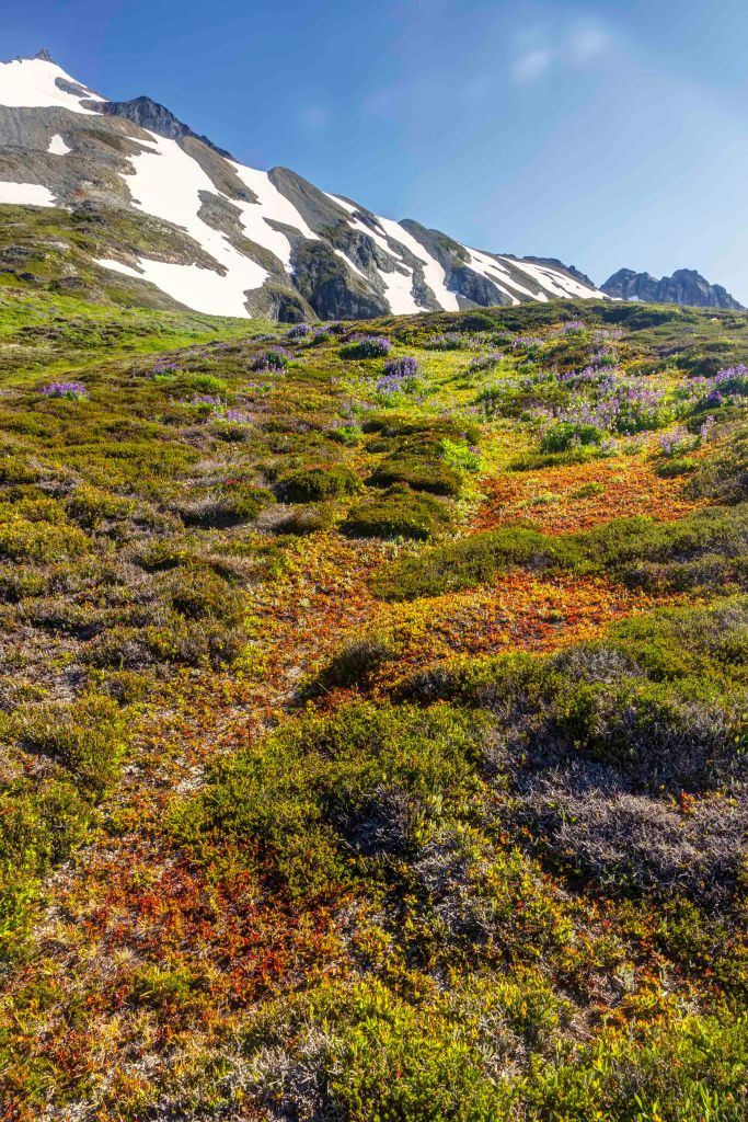 Sahale Arm and Sahale Camp, North Cascades | North Western Images ...